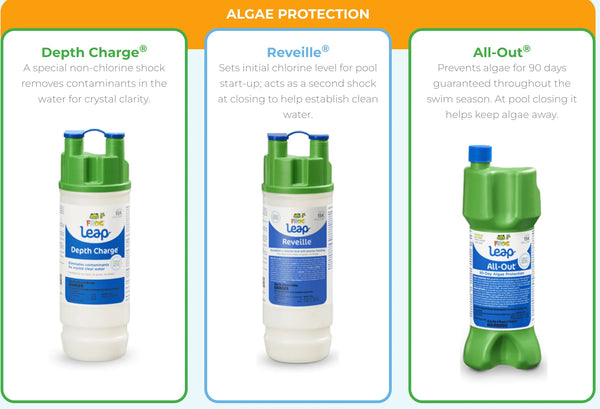 FROG® Leap Pool Wake Up Swimming Pool Mineral Water System